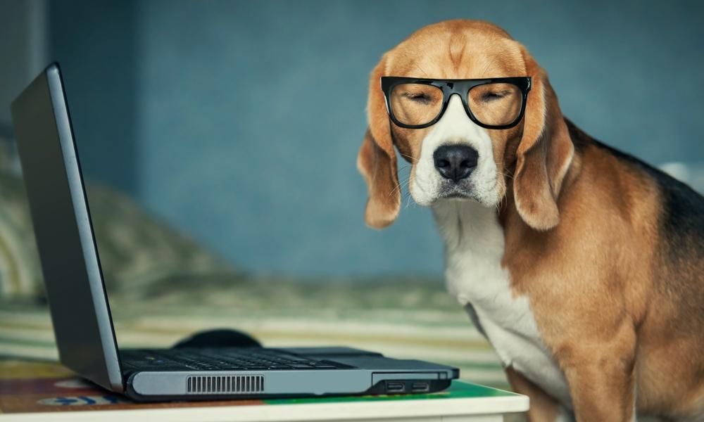 Keeping It Real: Fact-checking the Provost – Queen's Coalition Against ...